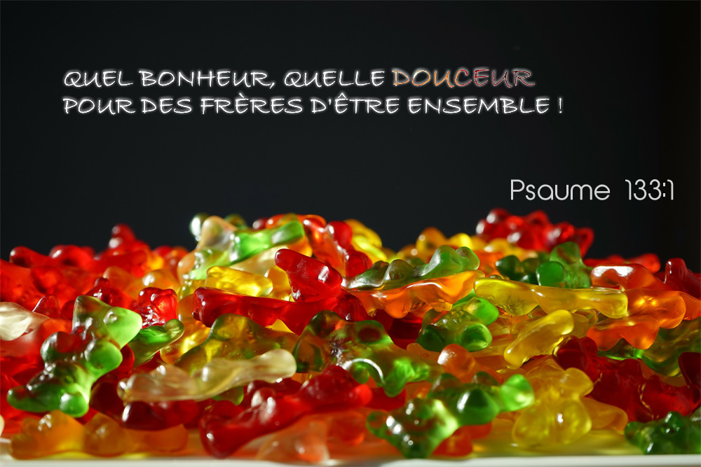 Être ensemble :) | 1001 versets