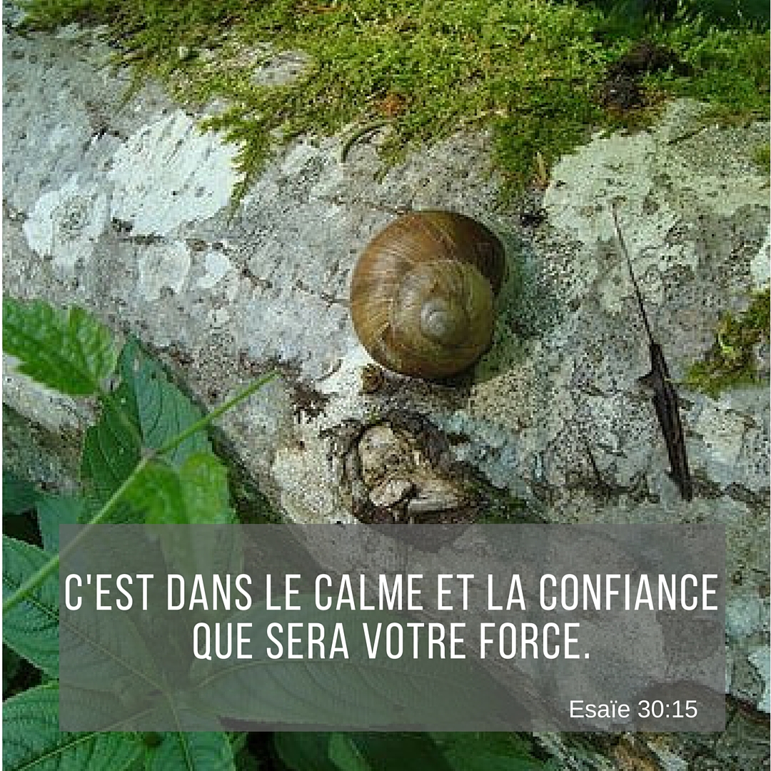 Les sources de la force | 1001 versets