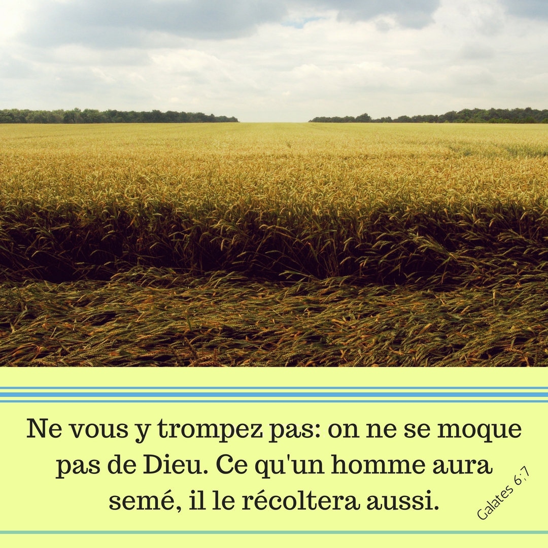 On ne se moque pas de Dieu | 1001 versets