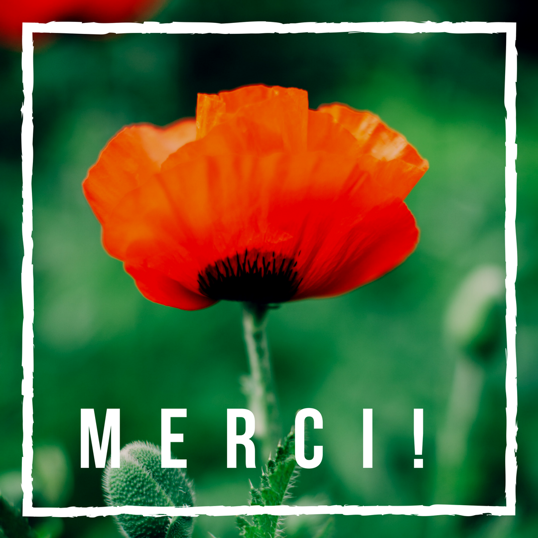 Oh MERCI Seigneur ! | 1001 versets