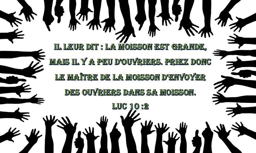 Des ouvriers dans Sa moisson | 1001 versets