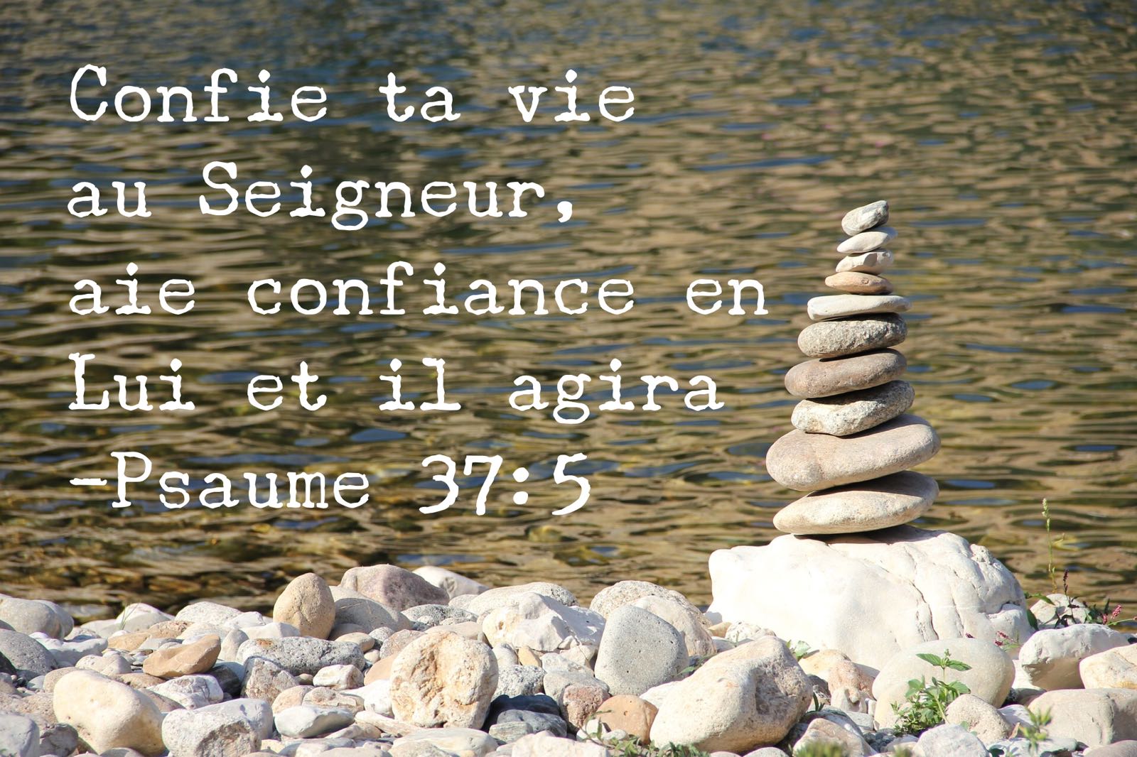 IL agira | 1001 versets