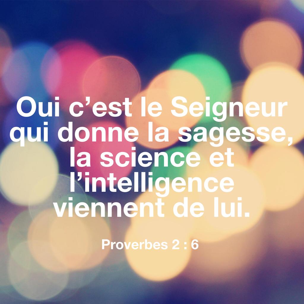 Proverbes | 1001 versets