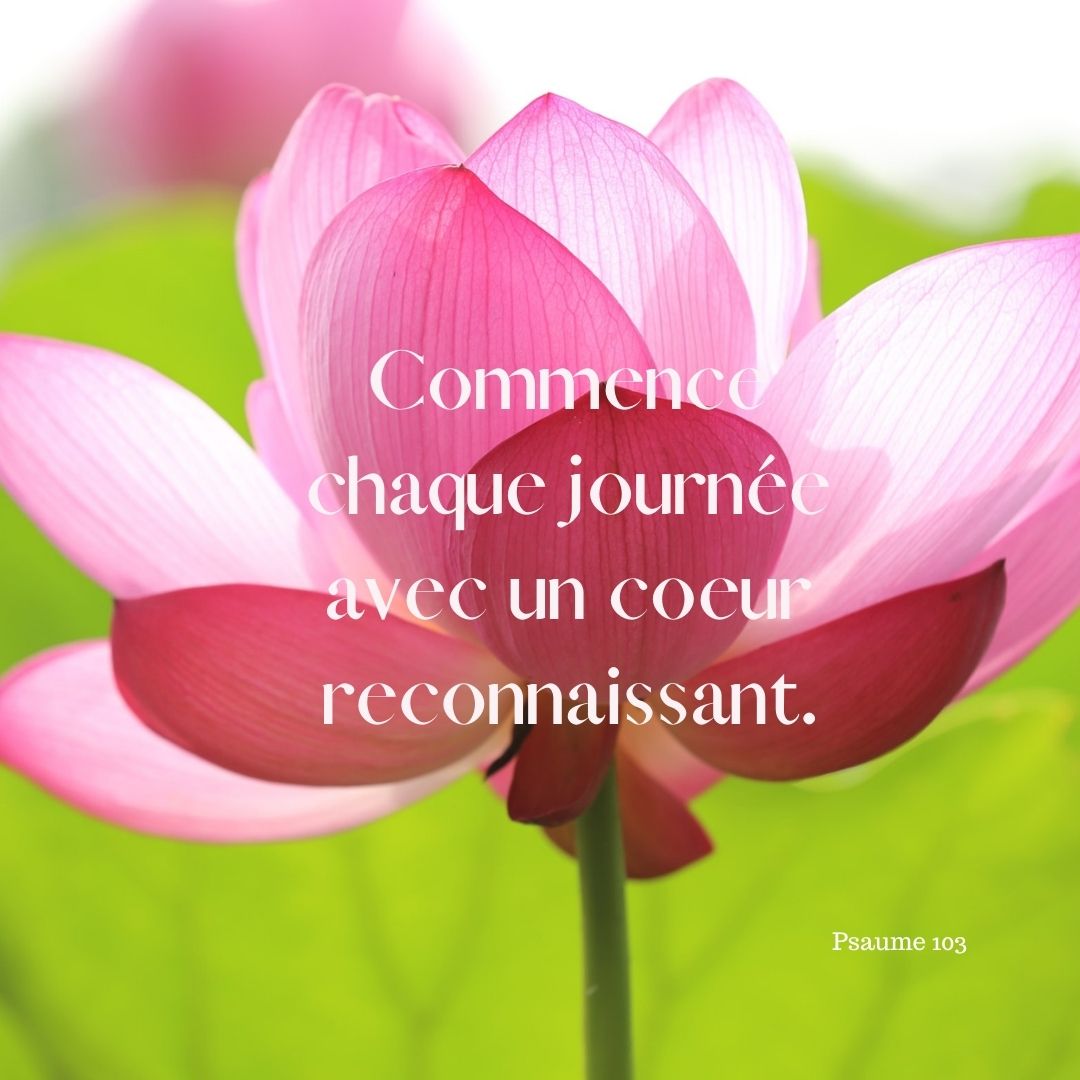 Un coeur reconnaissant | 1001 versets