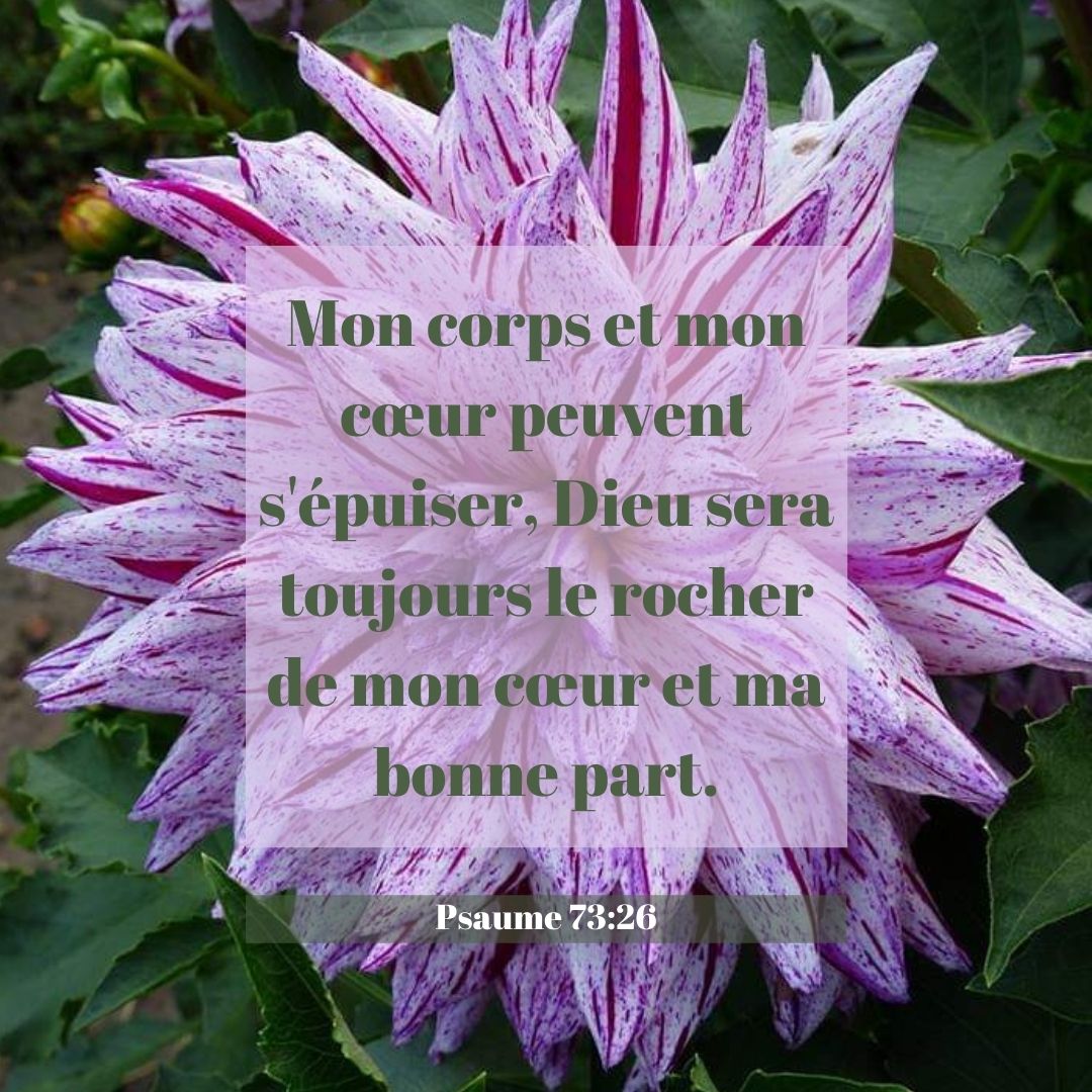 Dieu sera toujours le rocher | 1001 versets