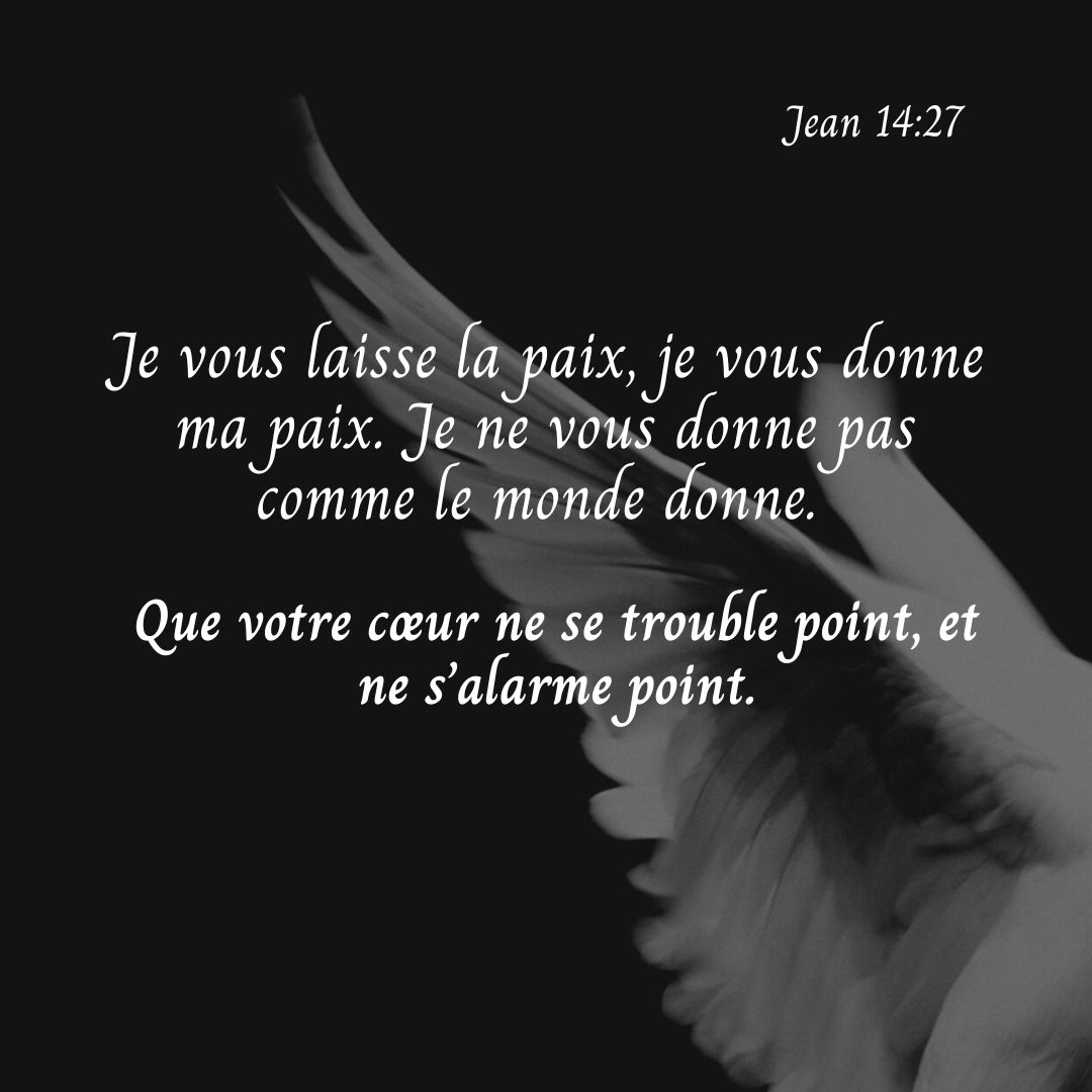 Je vous laisse la paix | 1001 versets