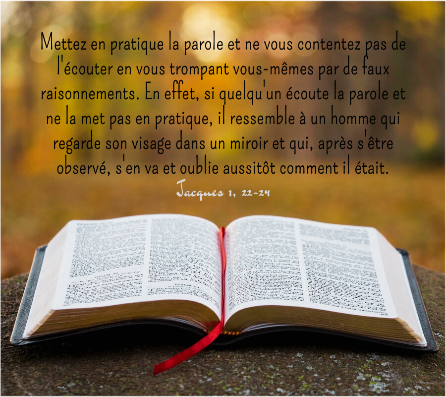 Mettre en pratique la Bible | 1001 versets